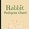 Rabbit Pedigree Chart: A Rabbit Pedigree Template To Keep Record of the ...