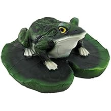 Amazon.com: frog pad for pool