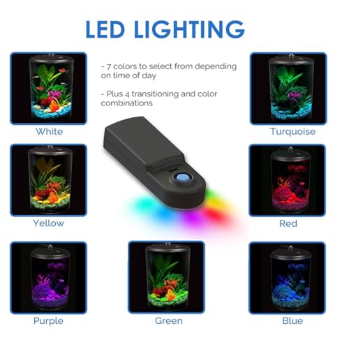 Koller Products AquaView 3-Gallon 360 Aquarium With LED Lighting (7 ...