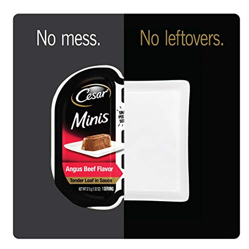 CESAR Minis Wet Dog Food Tender Loaf in Sauce Variety Pack, Filet ...