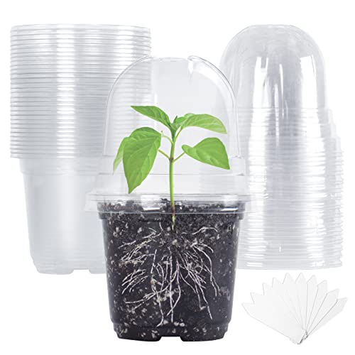 Bonviee 30 Sets Plant Nursery Pots with Humidity Domes, 4 Inch Clear ...