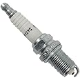 Amazon.com: Champion Spark Plug for Briggs & Stratton 692051, 694385 ...