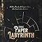 The Paper Labyrinth: A Book-wide Puzzle Solving Adventure (The Paper ...