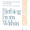 Birthing from Within: Amazon.co.uk: Pam England, Rob Horowitz ...