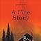 A Fire Story: Fies, Brian: 9781419735851: Amazon.com: Books