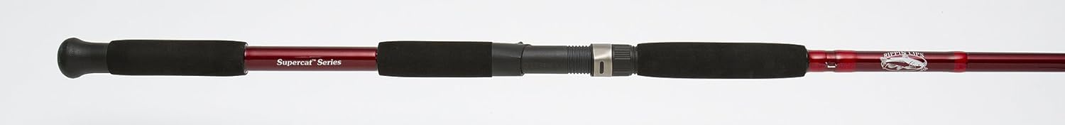 Best Fishing Rods for Catfish: Spinning Rods & Poles