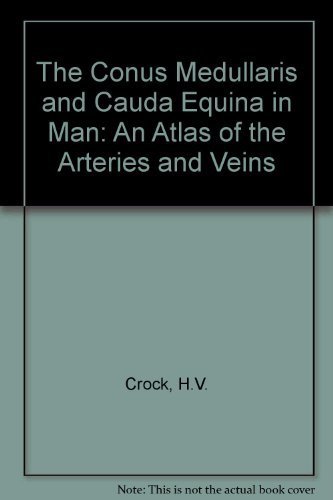 The Conus Medullaris and Cauda Equina in Man: An Atlas of the Arteries ...