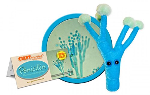 GIANT MICROBES Penicillin Penicillium Chrysogenum Plush Toy | Amazon ...