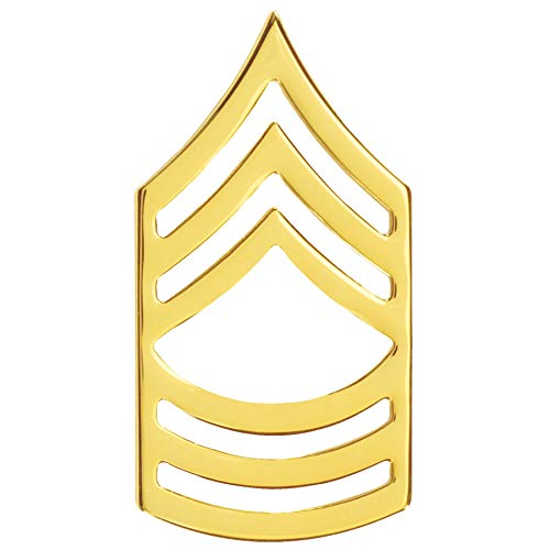 Medals of America US Army Master Sergeant E8 MSG Rank Brass - Want It All