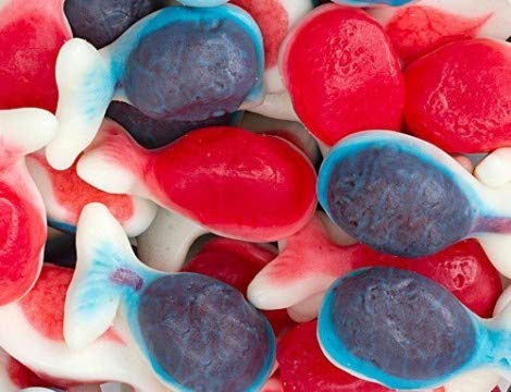 Amazon.com : FirstChoiceCandy Jelly Filled Gummy Whales 2 LB : Grocery ...