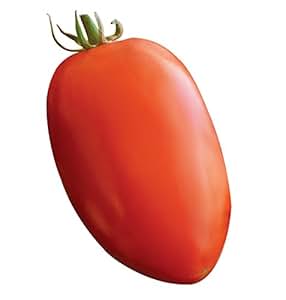 Amazon.com : Burpee 'Gladiator' Hybrid | Red Sauce & Paste Tomato | 25 ...