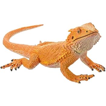 Amazon.com: Toysmith Lizard Squishimal Toy: Toys & Games