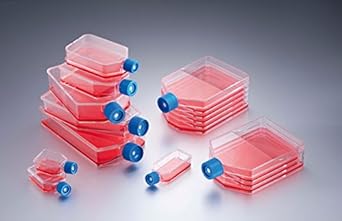 FALCON 353136 Cell culture flask with cap with filter membrane 250 ml ...