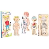 Beleduc 17128 Layer Puzzle 5 Pieces 'Your Body' for Girls: Beleduc ...