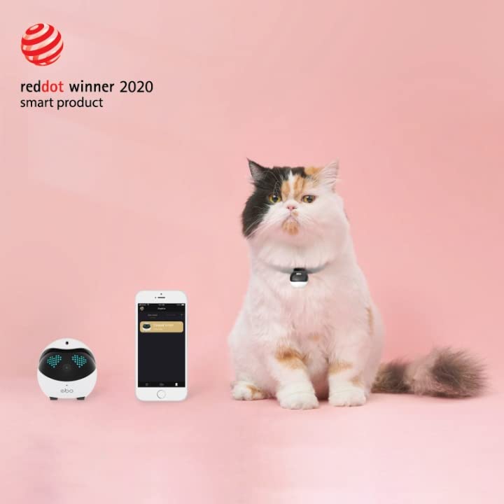 Enabot Ebo SE Movable Smart Pet Dog Camera Robot, Wireless Auto-Cruise ...