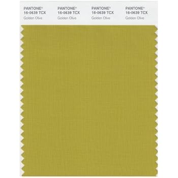 PANTONE SMART 16-0948X Color Swatch Card, Harvest Gold - House Paint ...