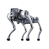 Unitree Go2 Robot Dog Quadruped Robotics for Adults Embodied AI (Go2 ...