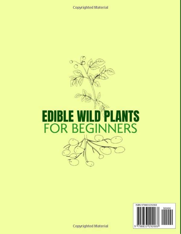 Edible Wild Plants For Beginners: The Ultimate Guide to Foraging ...