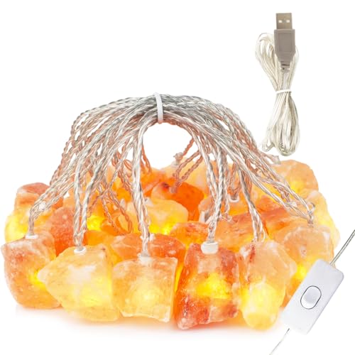 Himalayan Salt String Lights with Switch, 20 Natural Salt Block LED ...