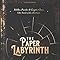 The Paper Labyrinth: A Book-wide Puzzle Solving Adventure (Make Puzzles ...
