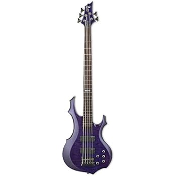 Amazon.com: ESP LTD F-155DX - Dark See Thru Purple 5 String Bass ...