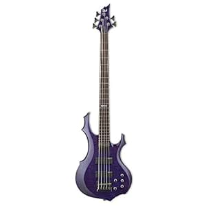 Amazon.com: ESP LTD F-155DX - Dark See Thru Purple 5 String Bass ...