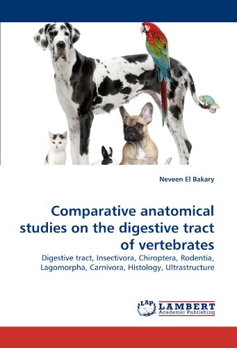 Comparative anatomical studies on the digestive tract of vertebrates ...
