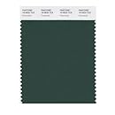 Amazon.com: PANTONE Smart 19-5920X Color Swatch Card, Pineneedle: Home ...