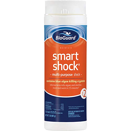12 Pack BioGuard Smart Shock 2lb with Swimming Pool Care Log Book (2lb ...