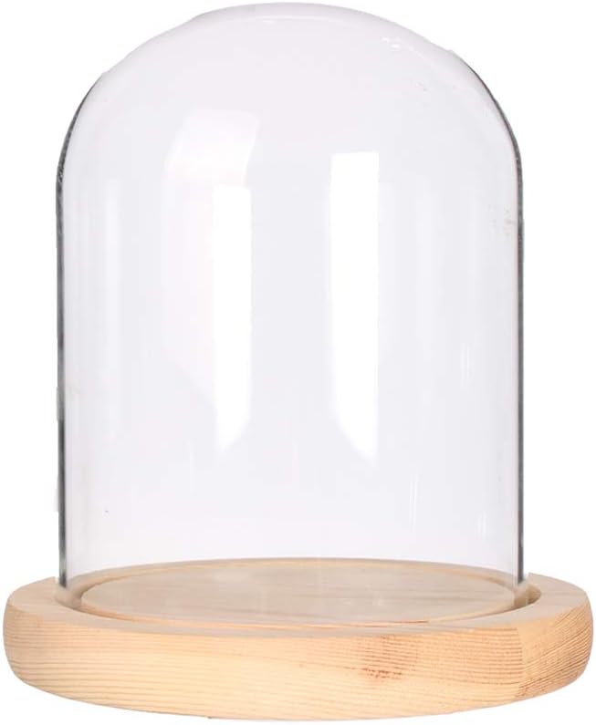Amazon.com: Siyaglass Decorative Clear Glass Dome Cloche Bell Cover 3.5 ...