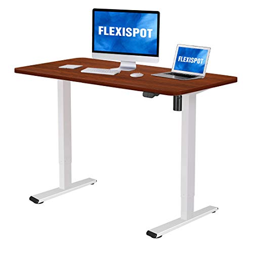 Flexispot EC1 Adjustable Height Desk 42 x 24 Inches Small Desk for ...