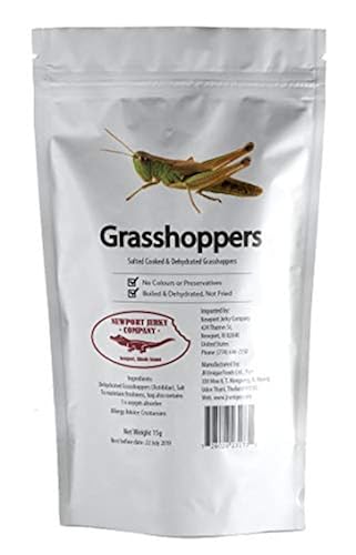 Newport Jerky Company Edible Insects | Edible Grasshoppers | Edible ...