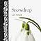 Snowdrop (Botanical): Harland, Gail: 9781780234922: Amazon.com: Books