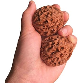 Amazon.com: Chinese Wenwan 2Pcs Natural Walnuts Massage Balls Set ...