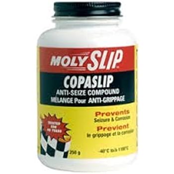 Amazon.com: COPASLIP High-Temperature Anti-Seize Compound, 100g tube ...