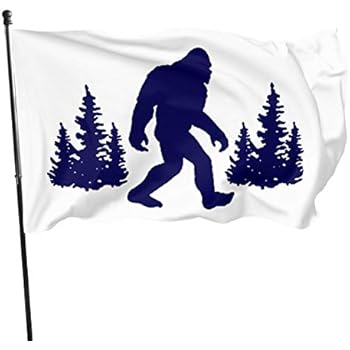 Amazon.com : 3'x5' Bigfoot Sasquatch Flag: 100% Polyester Banner ...