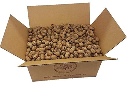 Amazon.com : Fresh Texas Pecans In Shell, 50 Pound Box | Millican Pecan ...