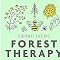 Amazon - Forest Therapy: Seasonal Ways to Embrace Nature for a Happier ...