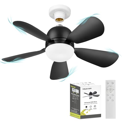 YOUKAIN 20" Ceiling Fan, Black Ceiling Fans With Lights and Remote ...