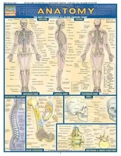 QuickStudy Medical Academic laminated chart - ANATOMY in Saudi Arabia ...