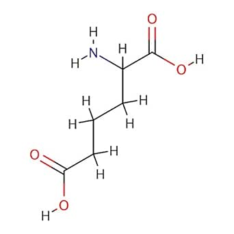 L-_-AMINOADIPIC ACID, 1 gm: Amazon.com: Industrial & Scientific