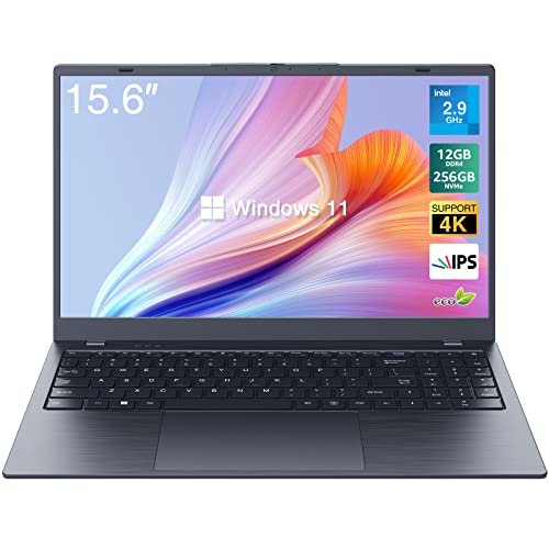 BiTECOOL Windows 11 Laptop With 15.6 Inch FHD IPS Display, Intel Celeron N5095 Quad Core, 12GB ...
