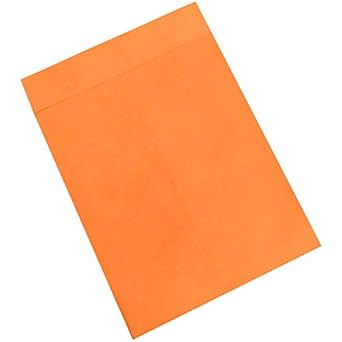 Amazon.com: Jumbo Envelopes, 14" x 18", Kraft, Large Envelopes for ...