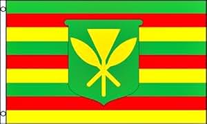 Amazon.com : King Kamehameha, 3'x5' Hawaii FLAG, Hawaiian Sovereignty ...