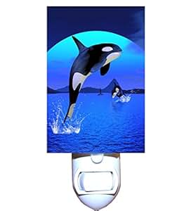 Amazon.com: Orca Splash Decorative Night Light: Home & Kitchen