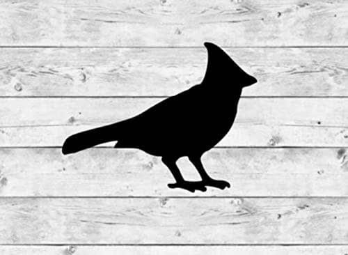 Amazon.com: Cardinal Vinyl Sticker, Decal, Bird Decorations, Bird Party ...