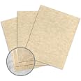 Amazon.com : Astroparche Aged Card Stock - 8 1/2 x 11 in 65 lb Cover ...
