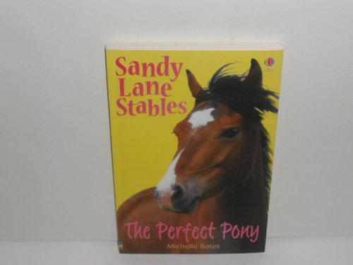 Amazon.com: The Perfect Pony (Sandy Lane Stables) (9780794505059 ...