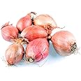 Amazon.com: French Shallots 1 lb. : Grocery & Gourmet Food
