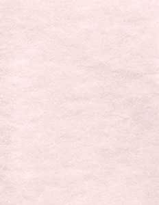 Amazon.com : 8 1/2 x 11 Paper - Pink Parchment (500 Qty ...